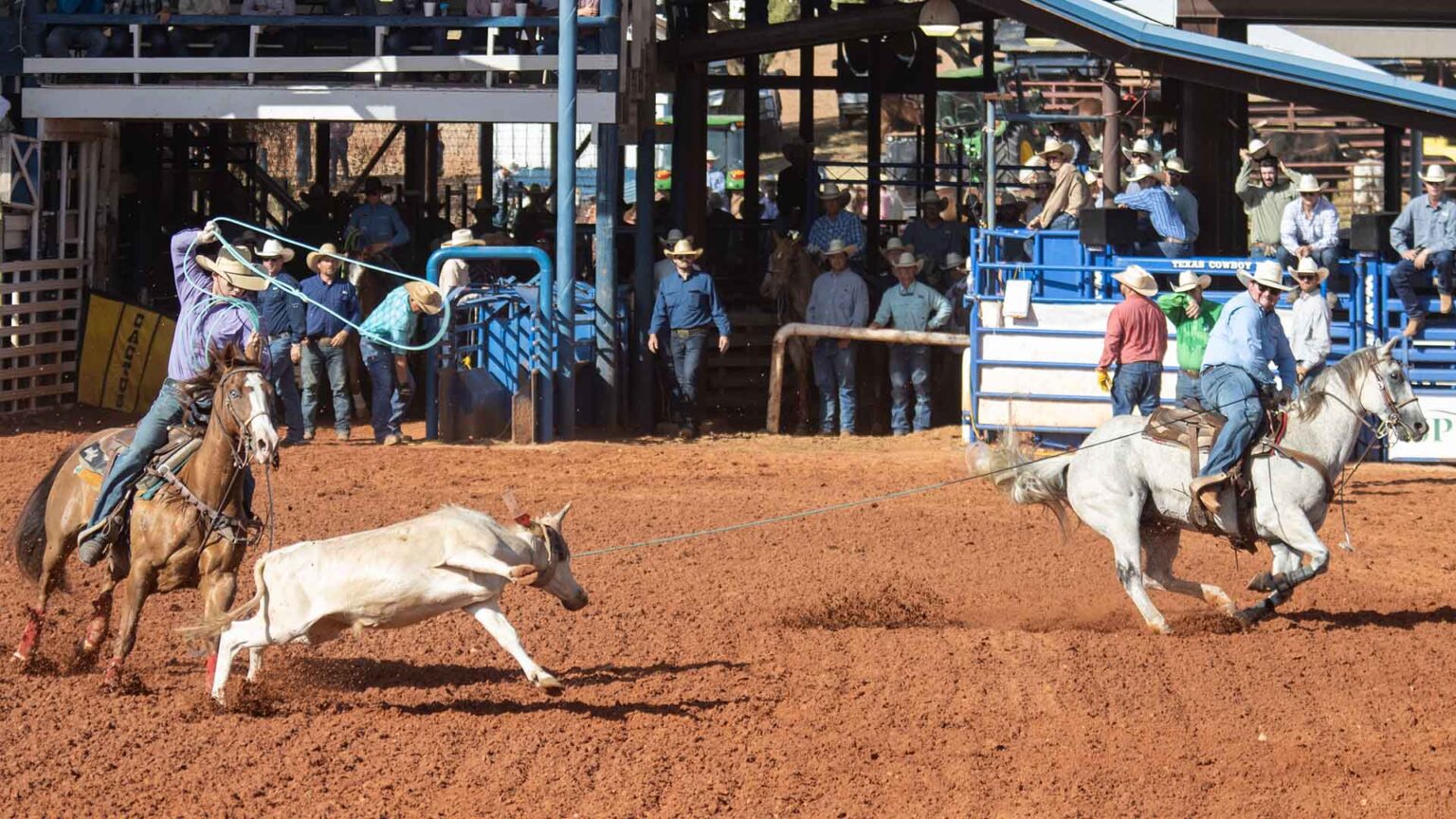 Team Roping - Texas Cowboy Reunion