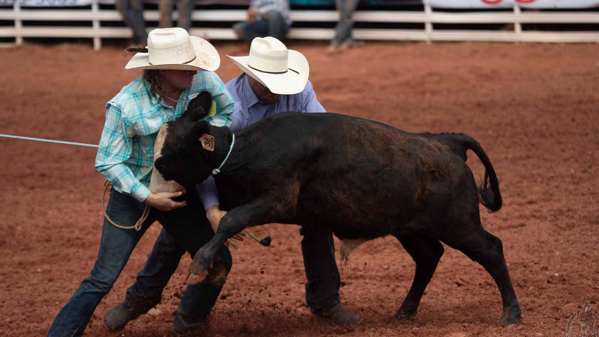 LEADERBOARD - Texas Cowboy Reunion